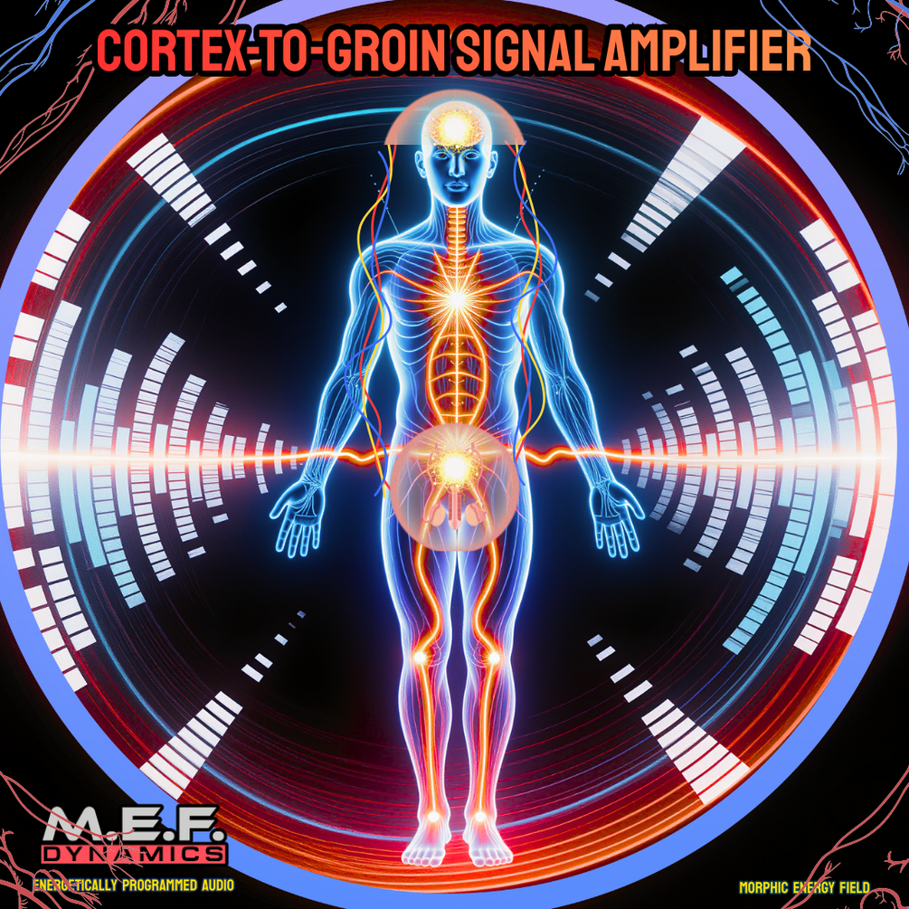 Cortex-to-Groin Signal Amplifier (Morphic Field)