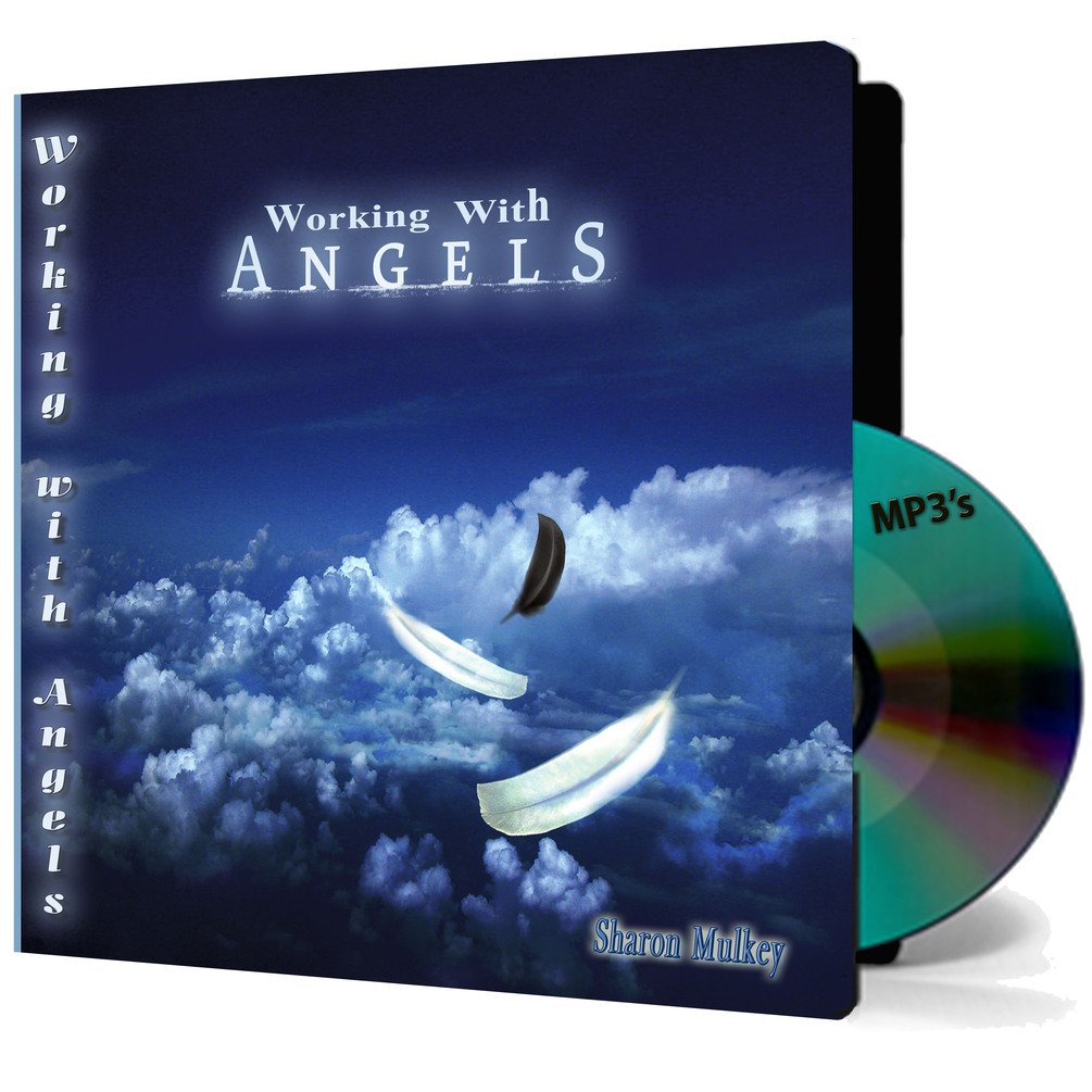 SM 03 Working with Angels