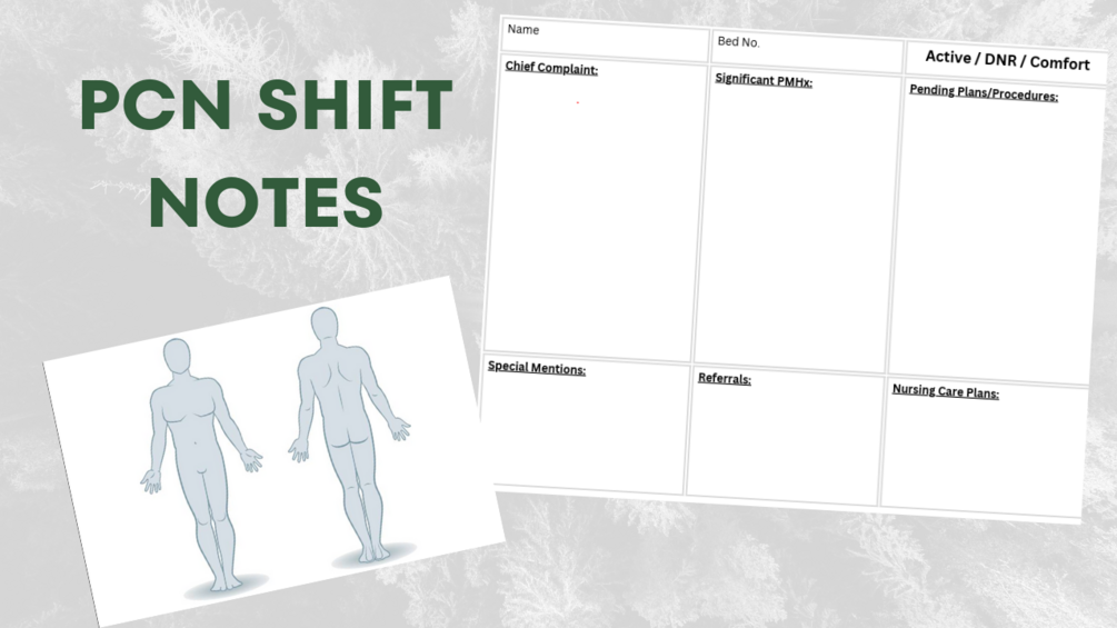 Nursing Shift Notes for Patient Centred Nursing