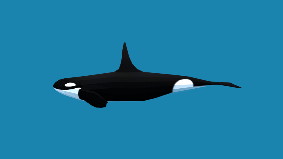 Low Poly Cartoon Orca Killer Whale Digital 3D Model