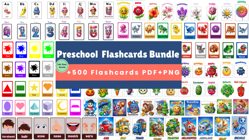 Utimate Preschool Flashcards Bundle – 500+ Educational Flashcards For ...