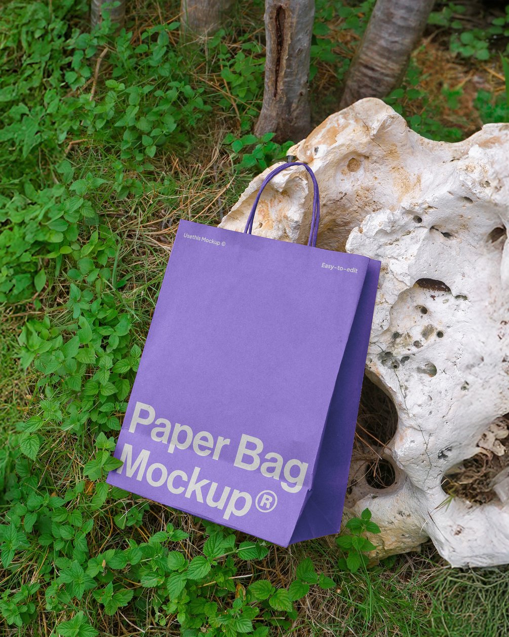 Outdoor Paper Bag Mockup (PSD)_M250603C