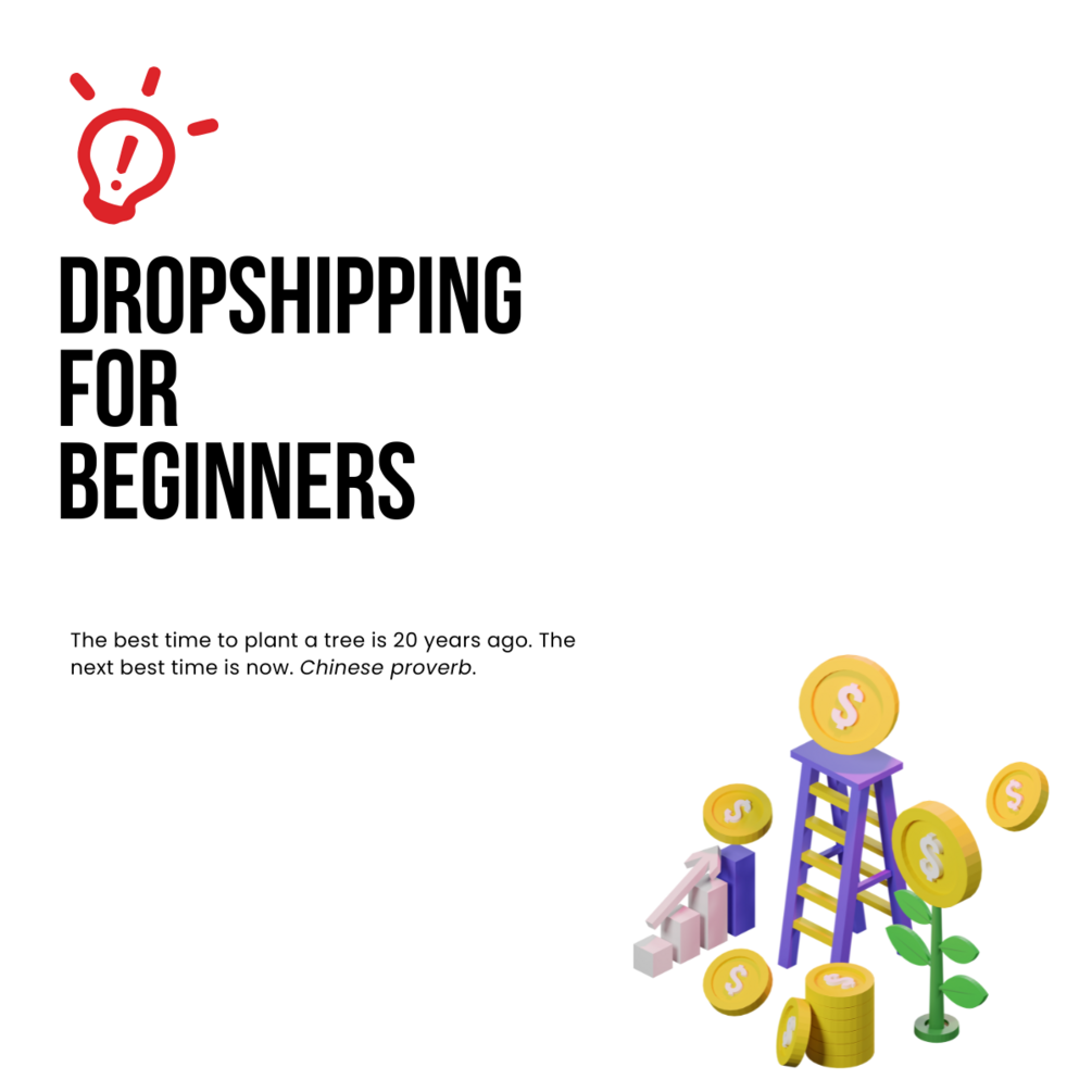 Dropshipping for beginners
