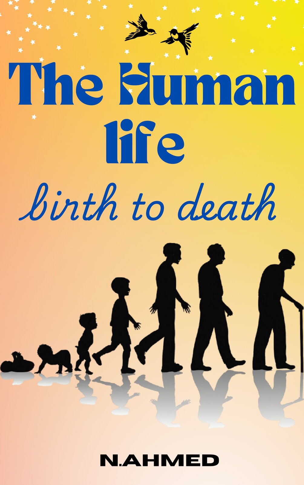 Human life for birth to death