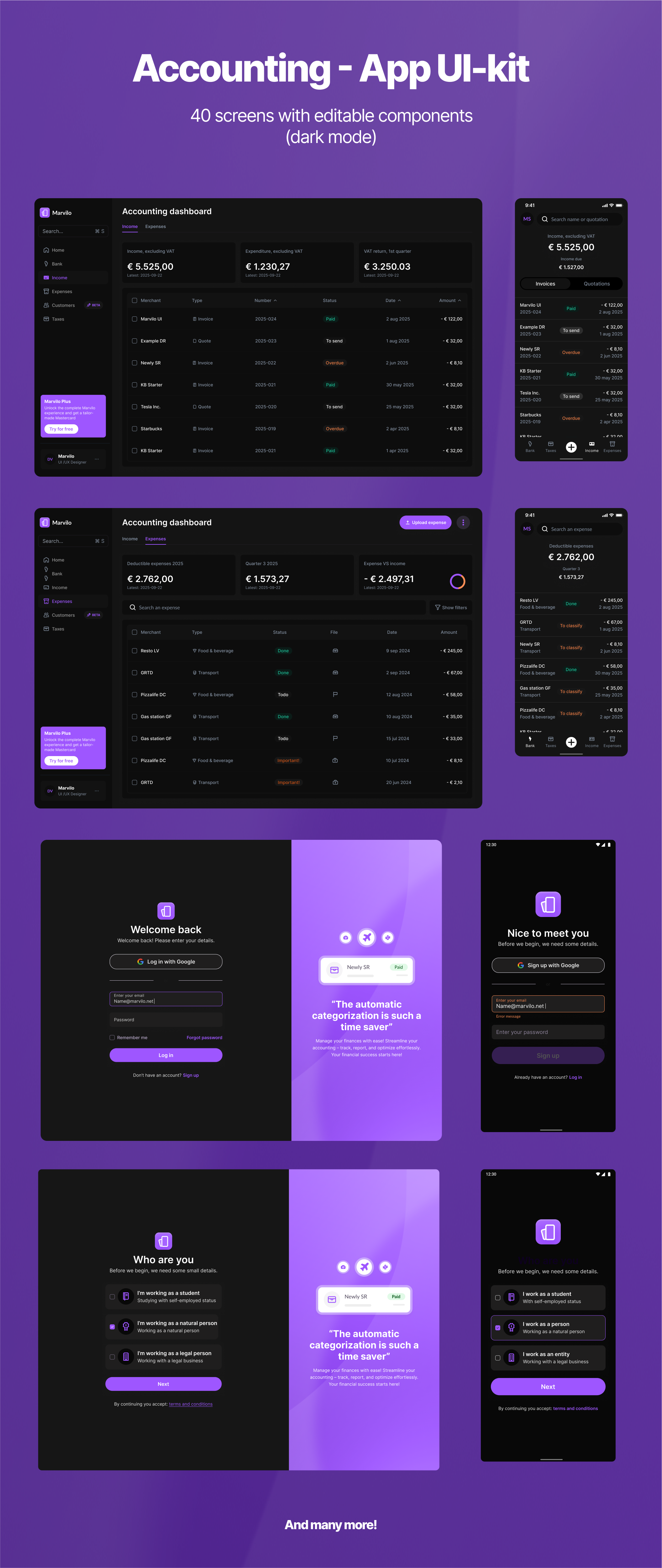 Accounting Dashboard & App UI kit