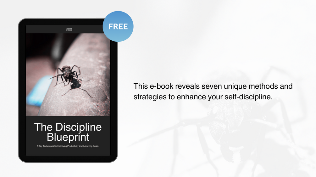 The Discipline Blueprint