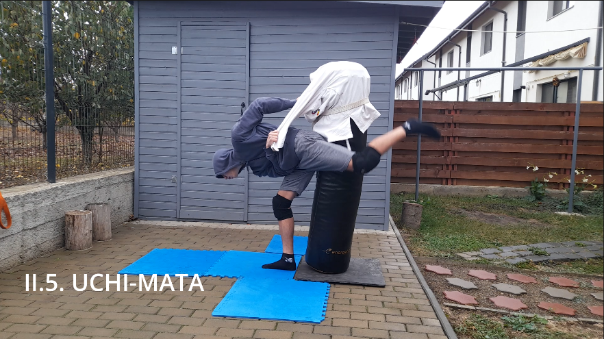 Judo Bands Workout & Tehniques for all ages (Cardiovascular,Endurance ...