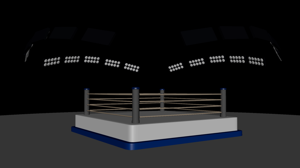 Boxing Ring Set