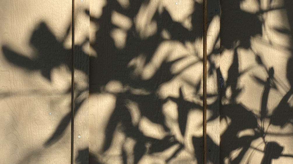 30 Nature Gobos - 4K