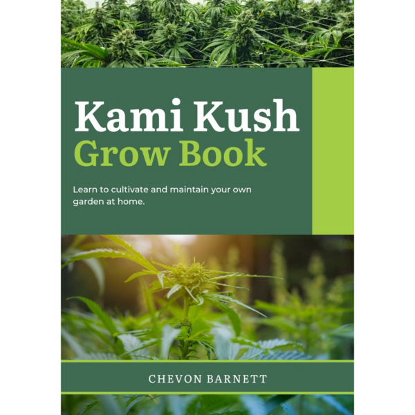 KAMI KUSH