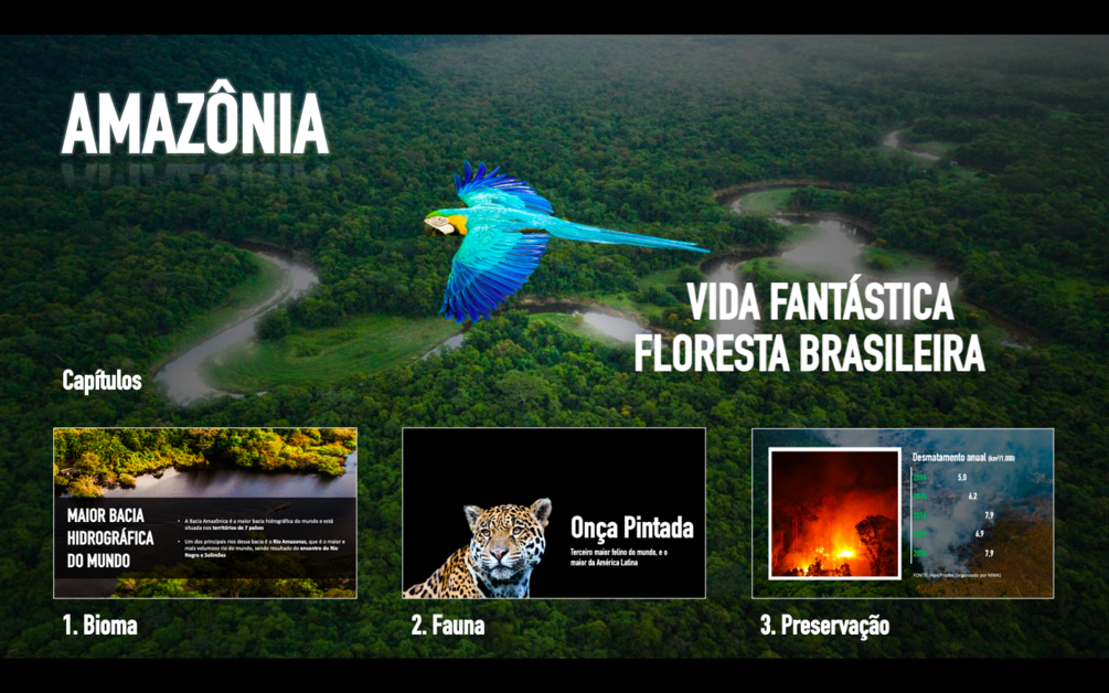 PPT Amazônia Brasileira