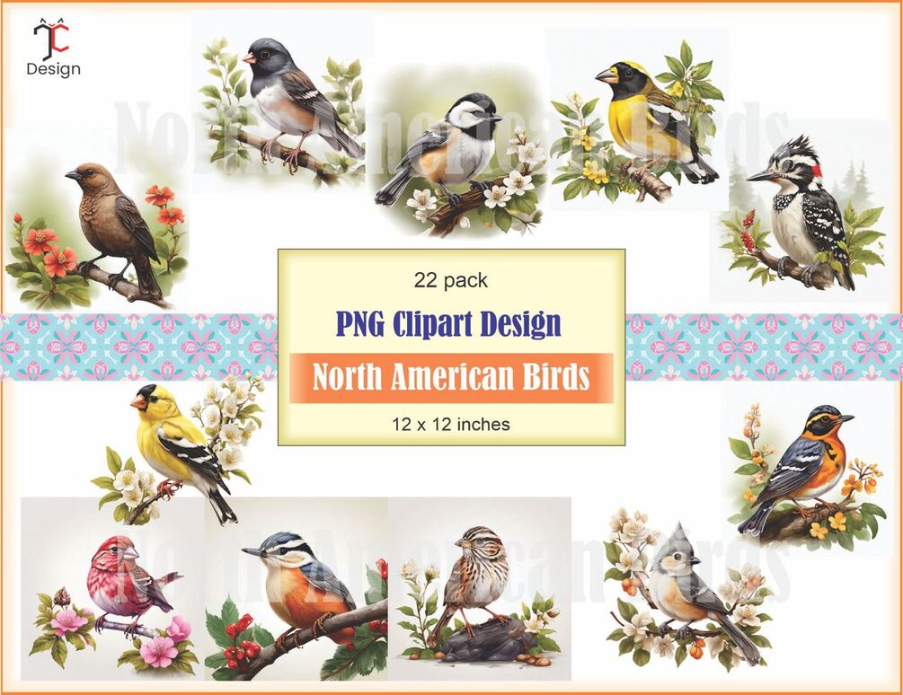 Clipart - North American Birds | 22 pack