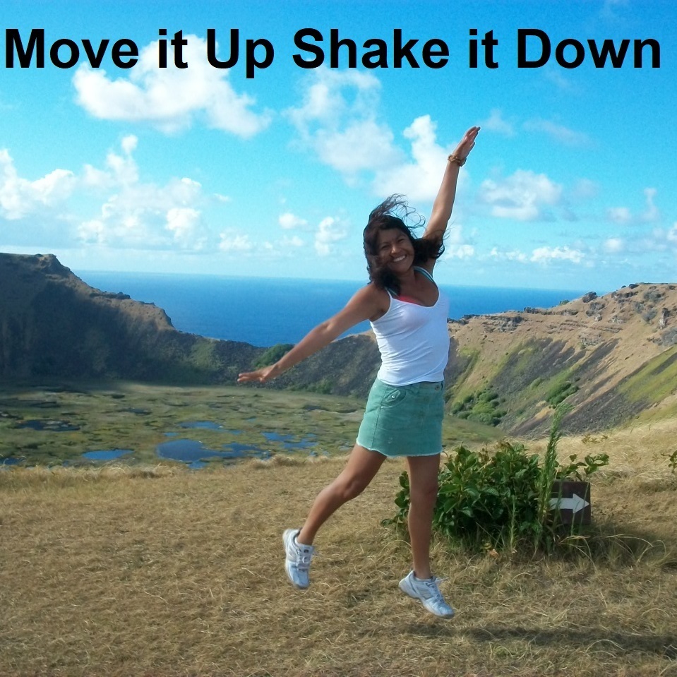 Move it Up Shake it Down single by Len