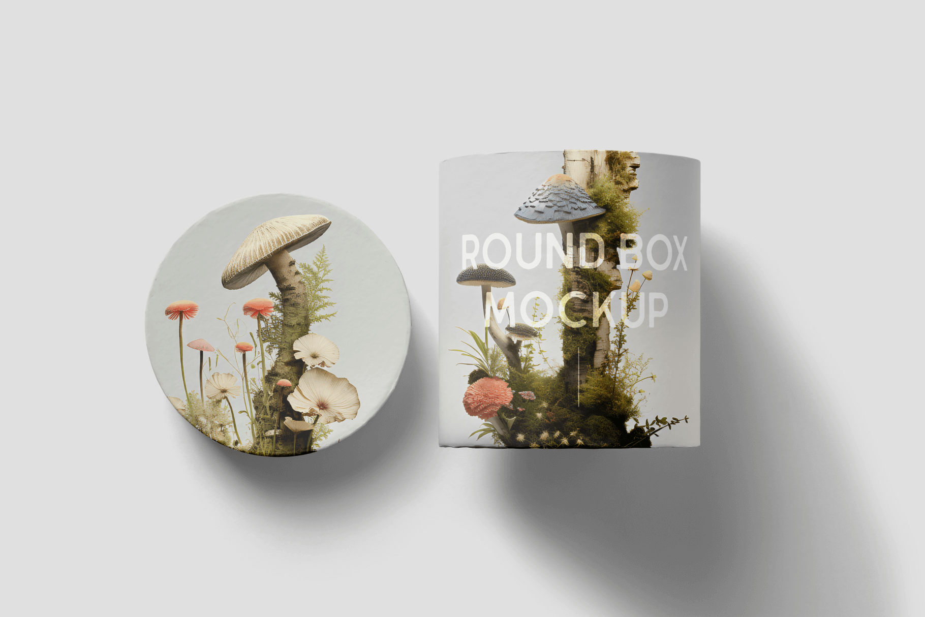 Fungal Magic - Forest Mushrooms
