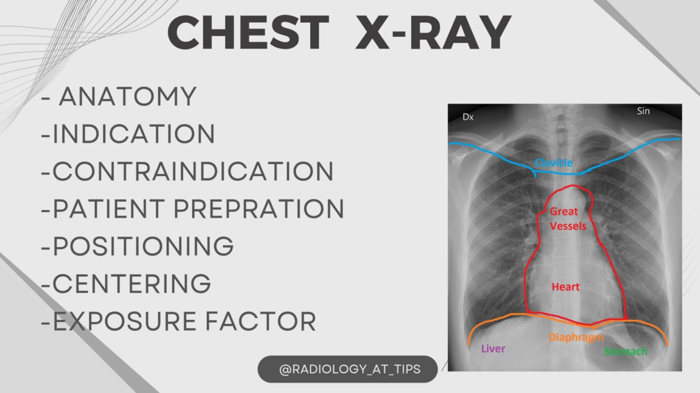 Chest, knee joint and elbow x ray notes (PDF)