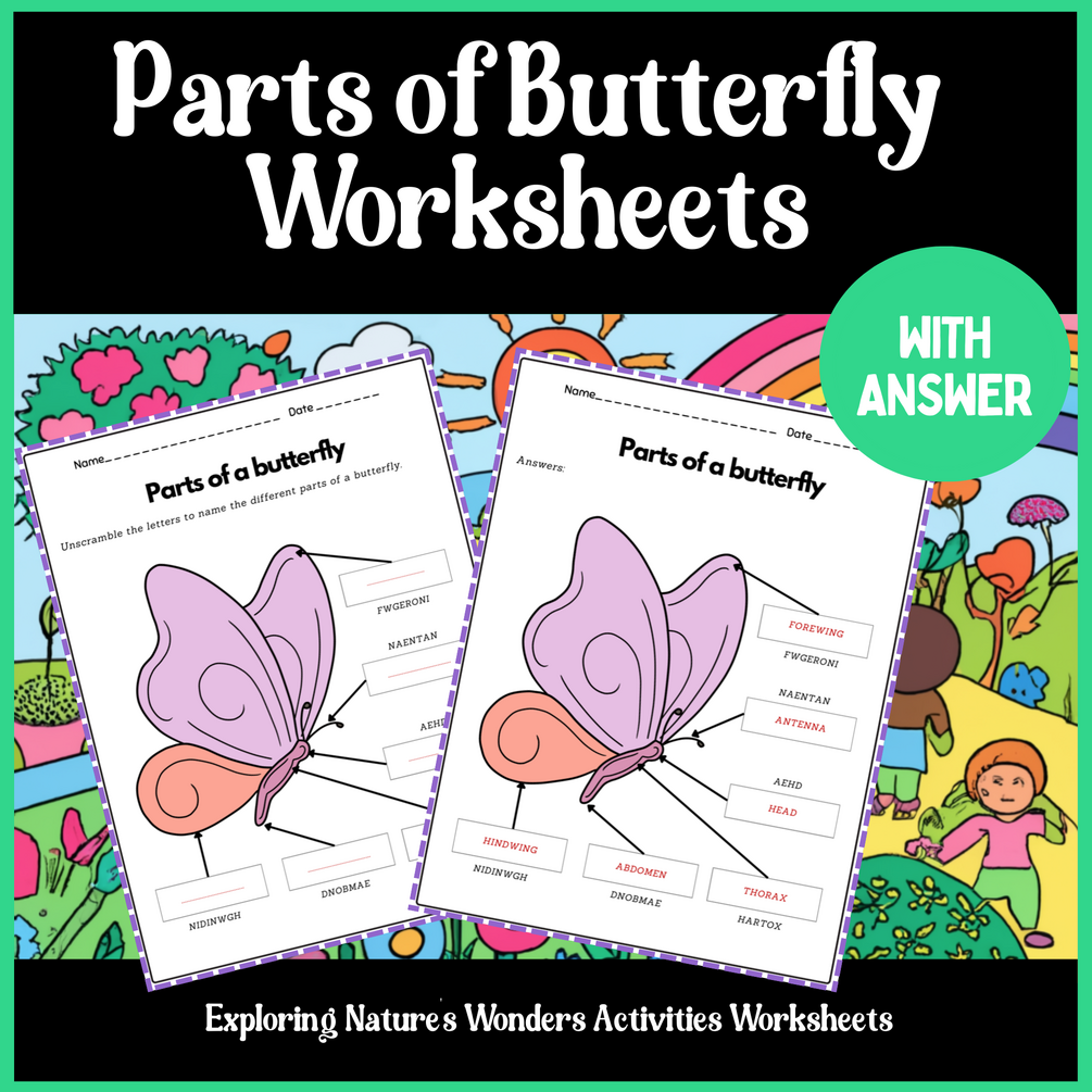 Butterfly Anatomy with Engaging Printable Worksheet