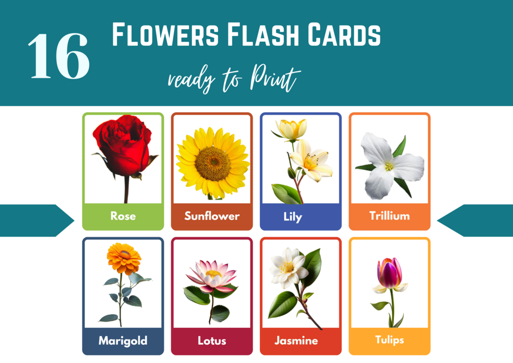 16 Flowers Flash Cards Flowers Printable Flash Cards Digital Flowers ...