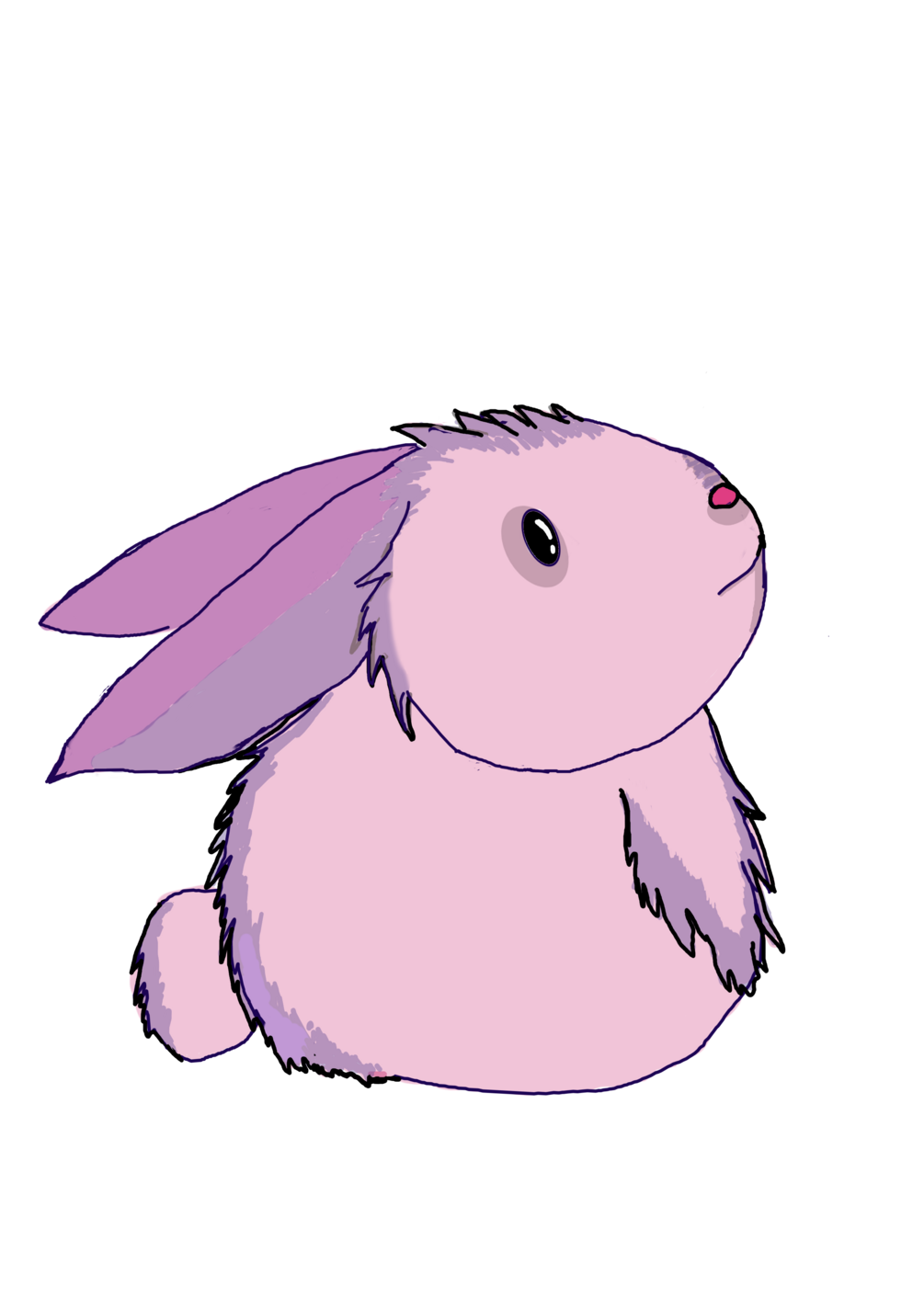 rabbit