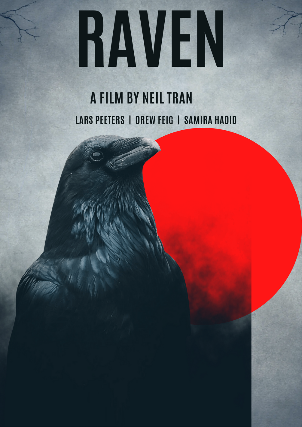 RAVEN – Dark Horror Movie Poster