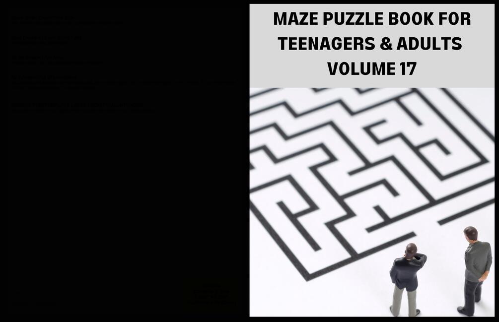 MAZE PUZZLE BOOK FOR TEENAGERS & ADULTS VOLUME 17