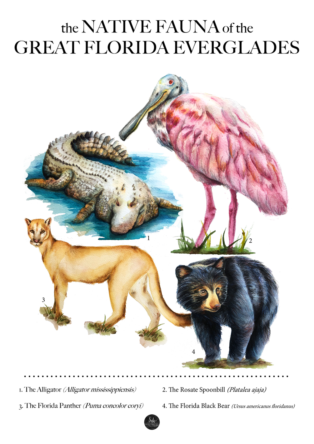 The Native Fauna of the Great Florida Everglades 12x16in