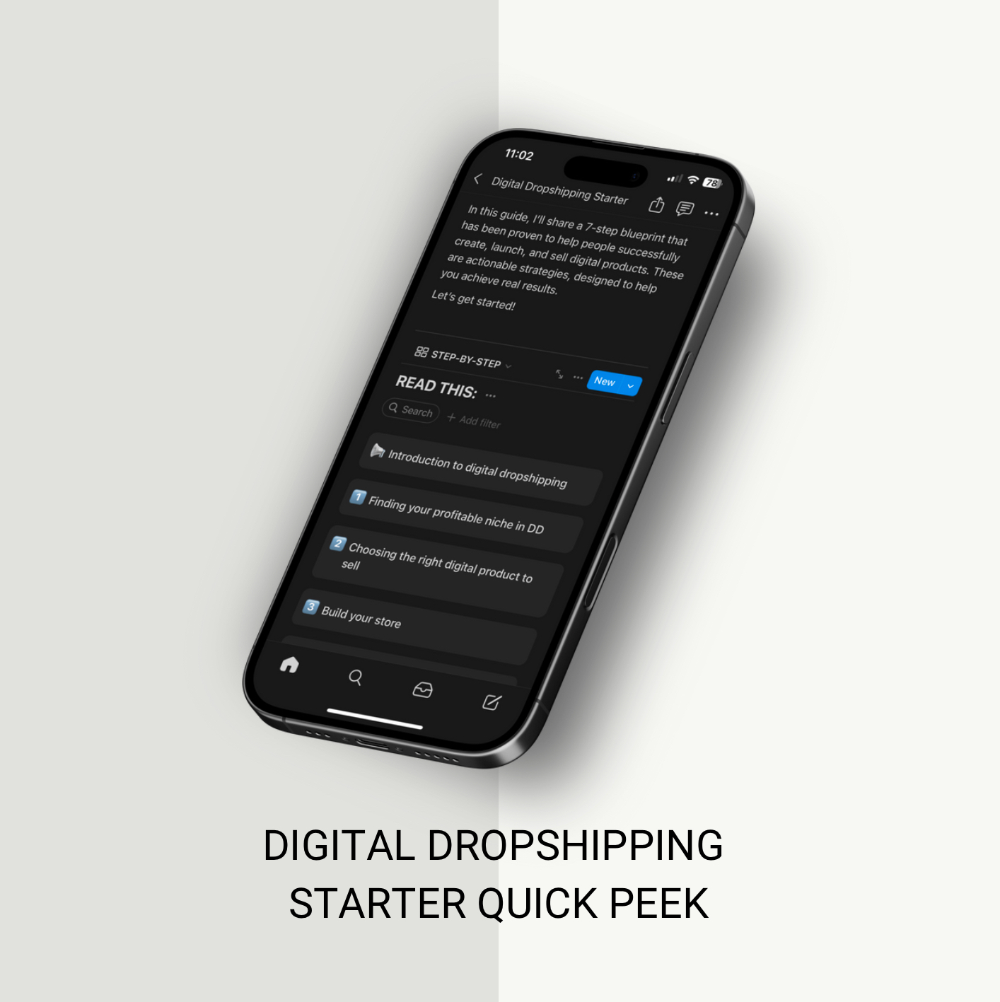 Digital Dropshipping Starter