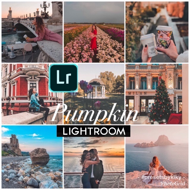 Pumpkin | Mobile Lightroom Presets