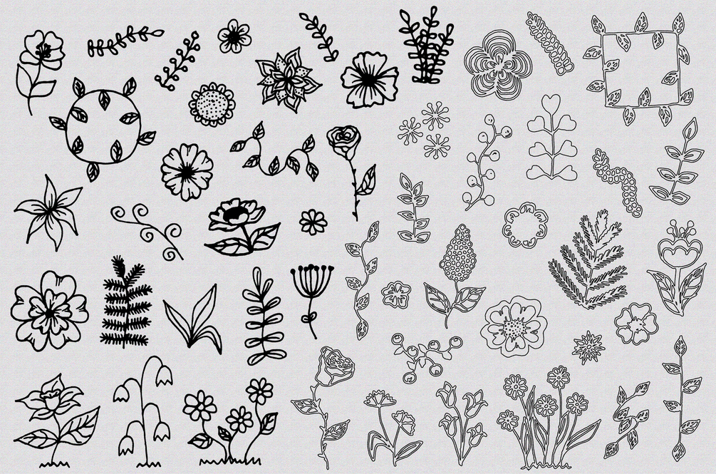 50 Hand Drawn Flower Vector Pack