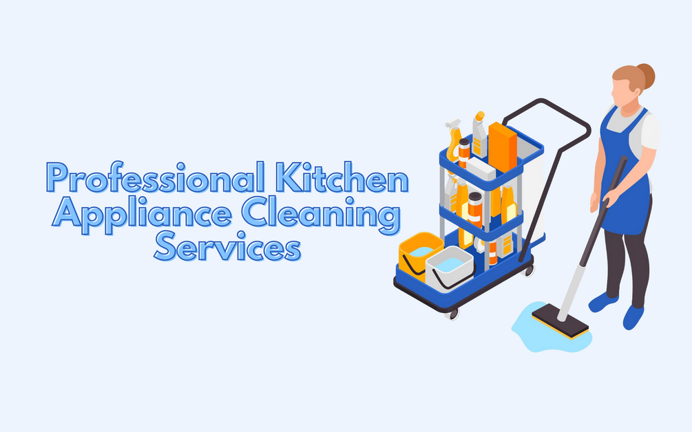 Professional Kitchen Appliance Cleaning for a Sparkling Home