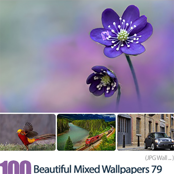 Download Beautiful Mixed Wallpapers - Beautiful Mixed Wallpapers 79