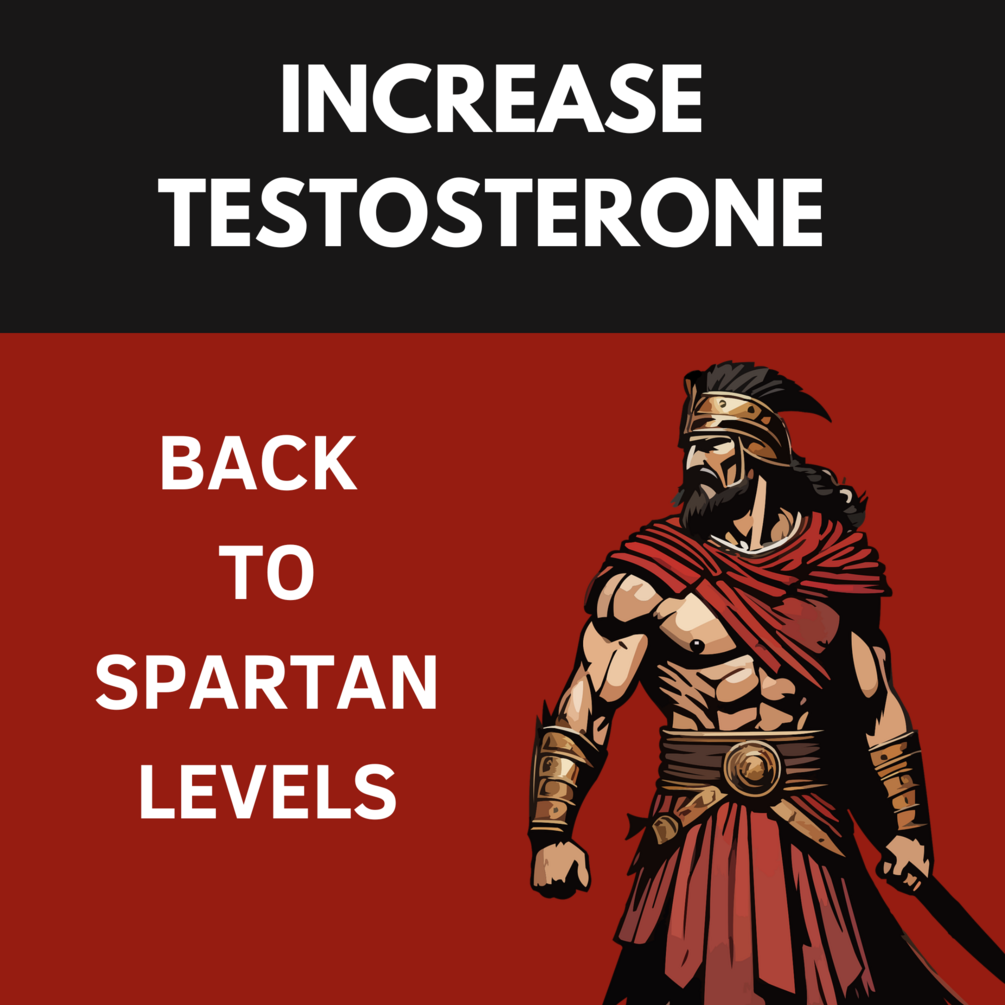 How to Increase your Testosterone back to Spartan Levels and get to ...