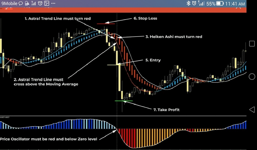 Forex Trading Fast Track