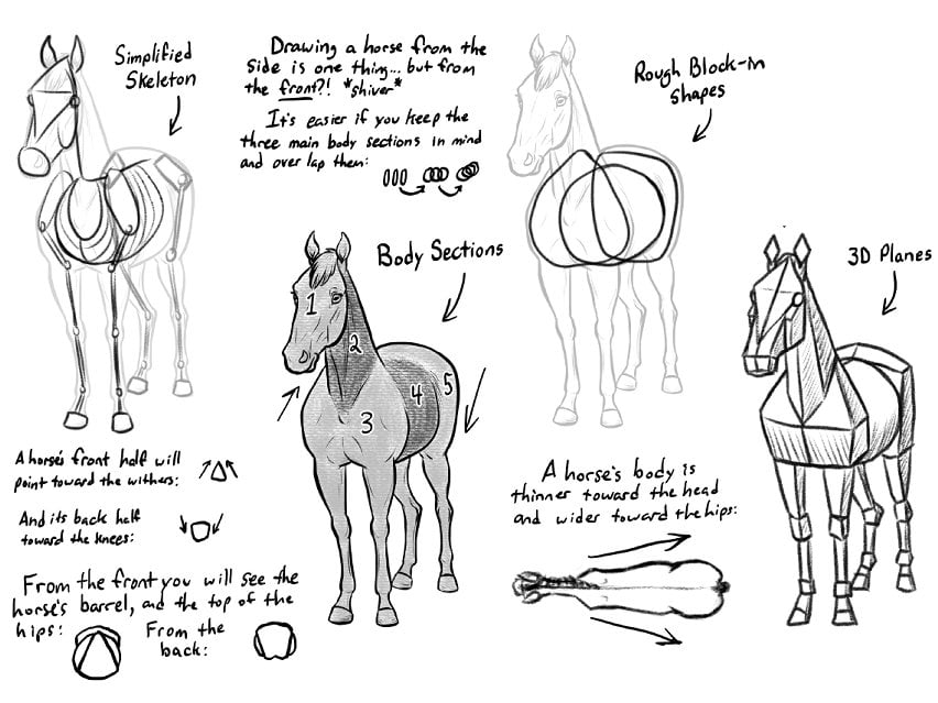 Heather L. Gilbraith's Horse Drawing Workshop - Notes and References ...