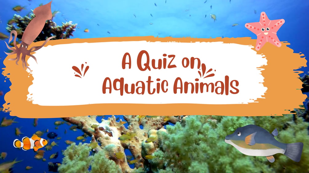 A Full-Info TEMPLATE on a QUIZ on AQUATIC ANIMALS