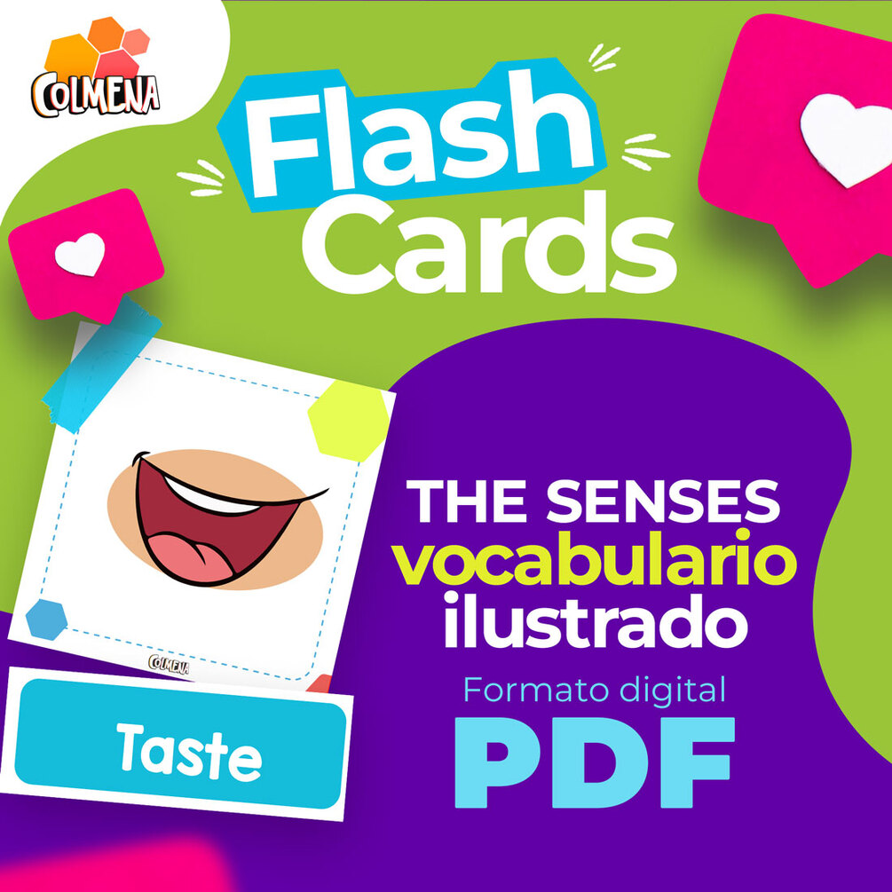 LOS SENTIDOS _Flash Card