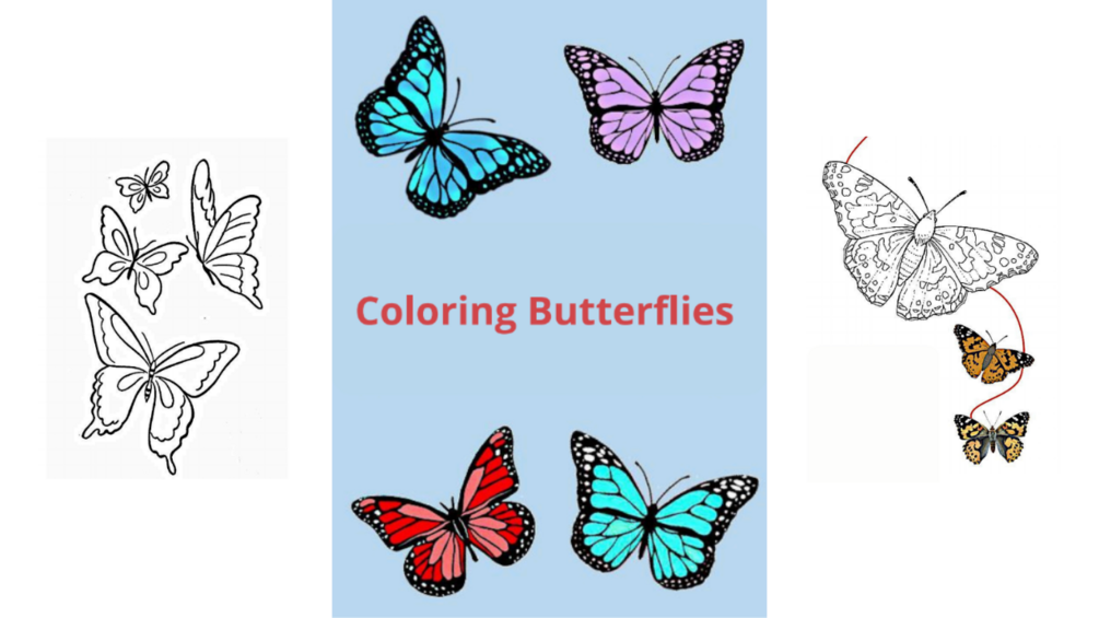 Butterflies Coloring book - 21 pages