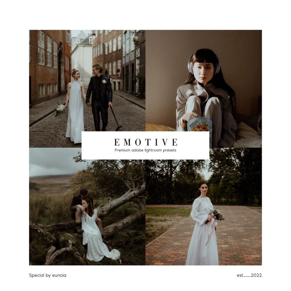 Eunoia co - The emotive tone | Moody and dark | Adobe Lightroom Presets