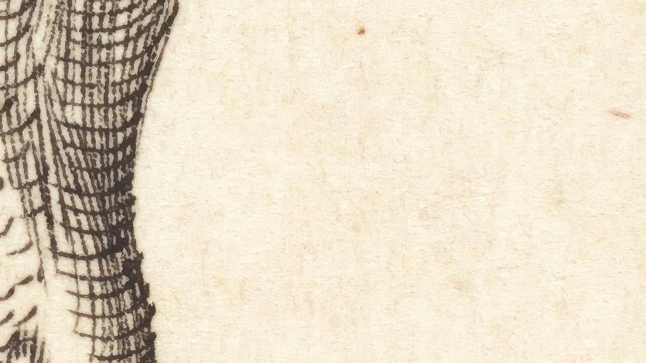 Saint Sebastian Bound to the Tree by Albrecht Durer