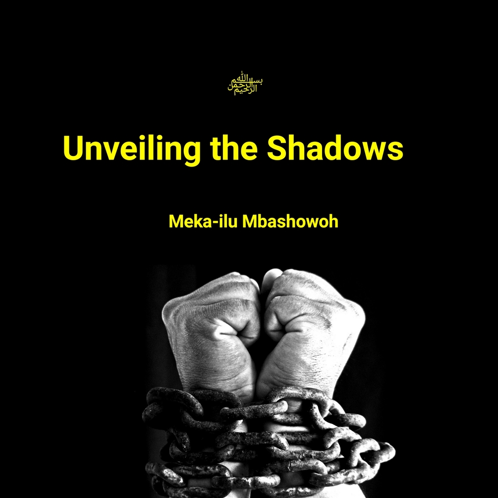 Unveiling The Shadows