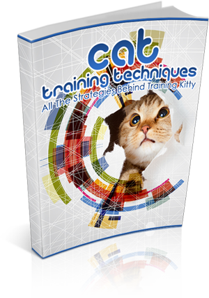 how to train your cat