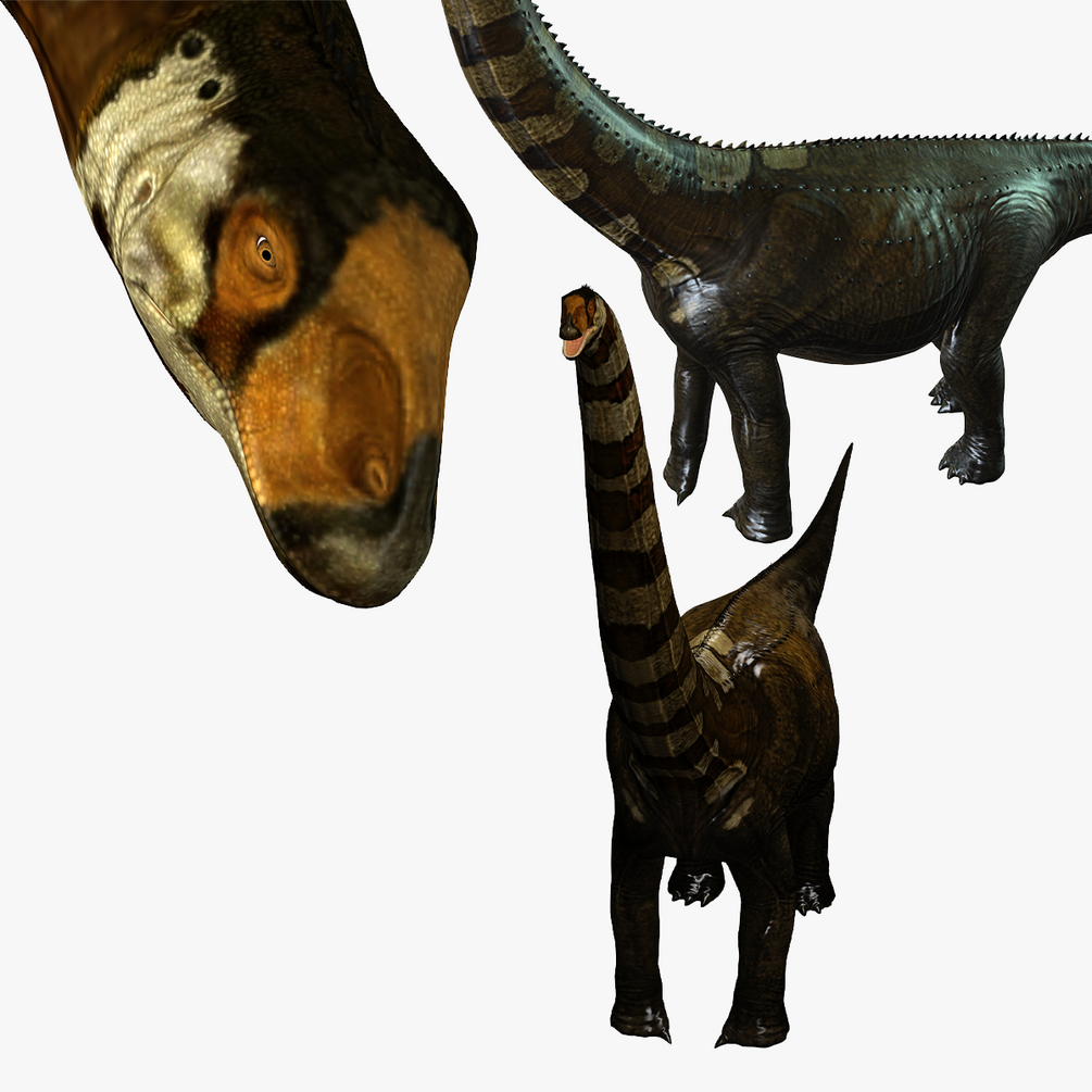 Puertasaurus DINOSAURS DOWNLOAD 3D MODEL
