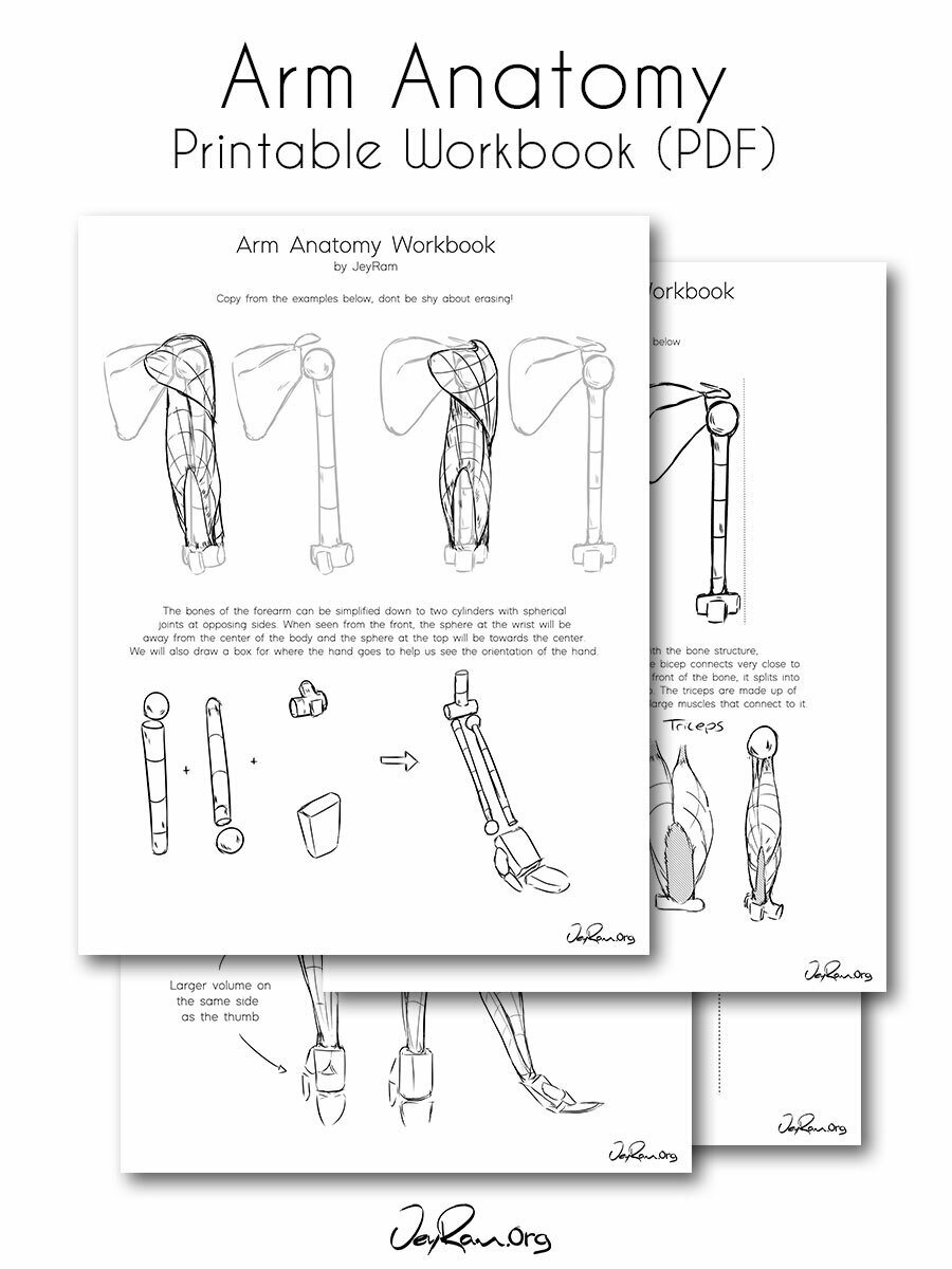 Arm Anatomy Drawing Workbook (PDF)