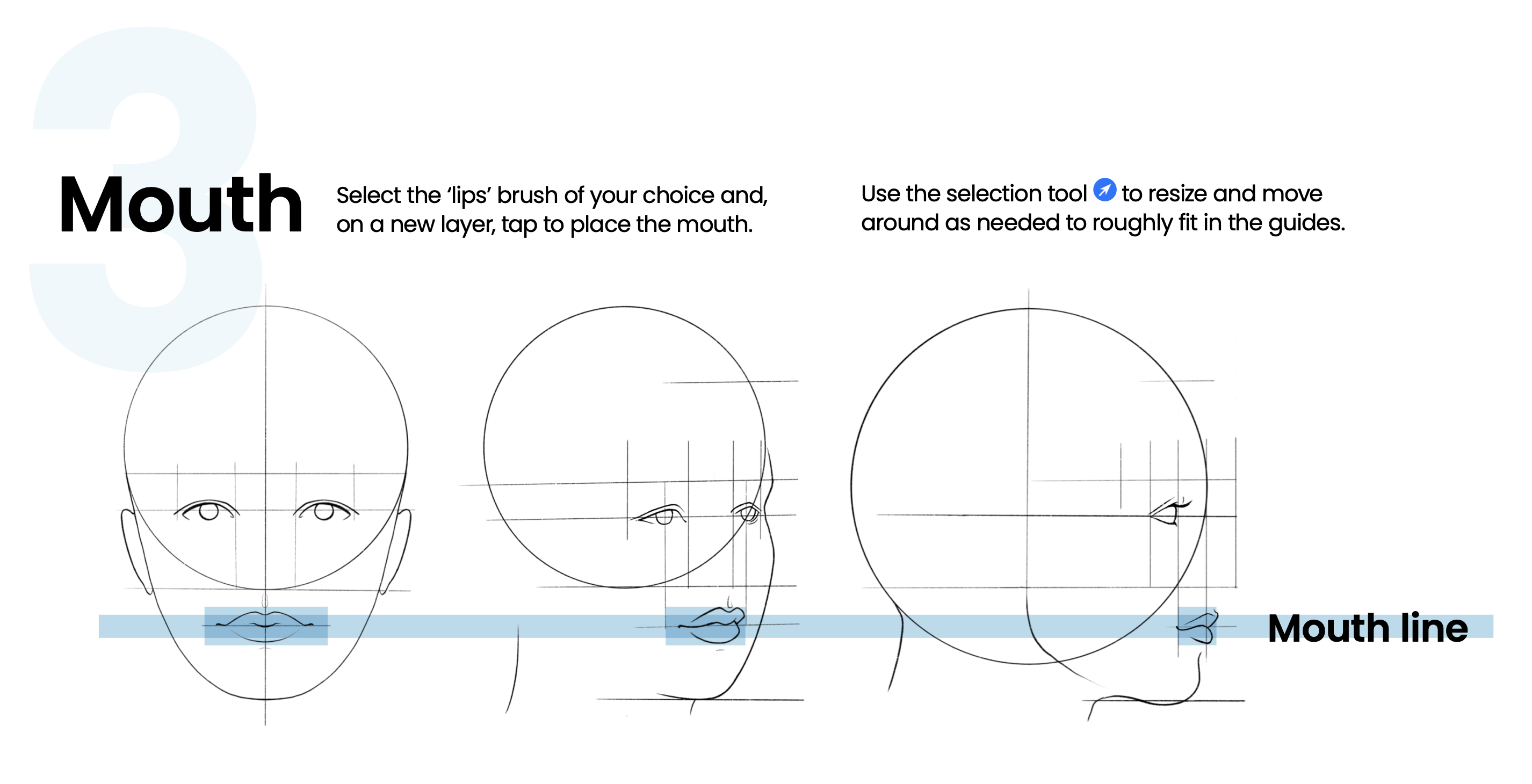 Ultimate Portrait facial Brushes Bundle for Procreate
