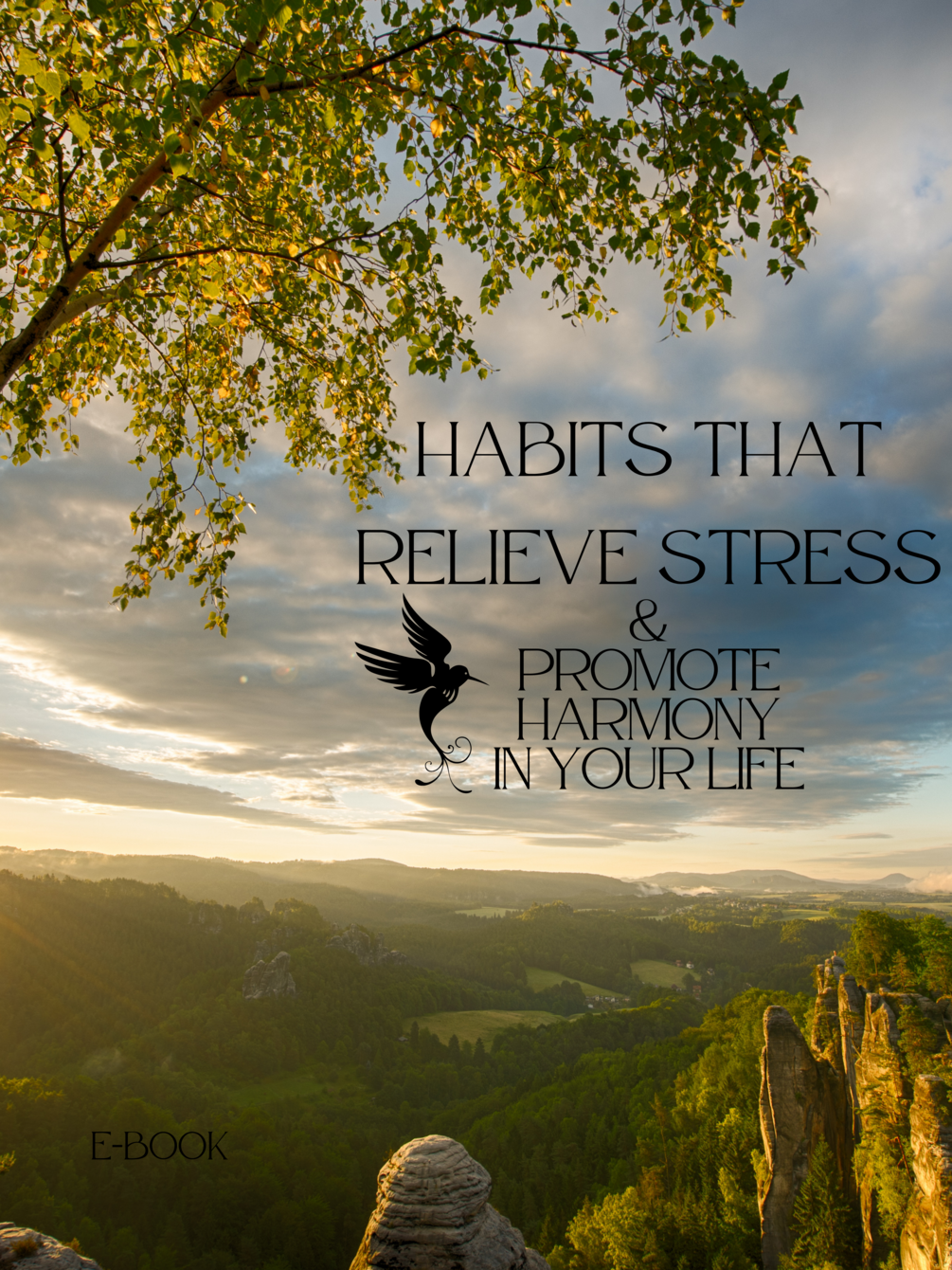 Habits That Relieve Stress And Promote Harmony In Your Life.