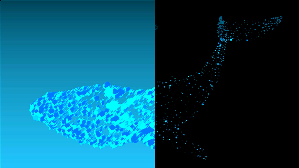 3D Whale Animation presets +3 For Maya 2018+