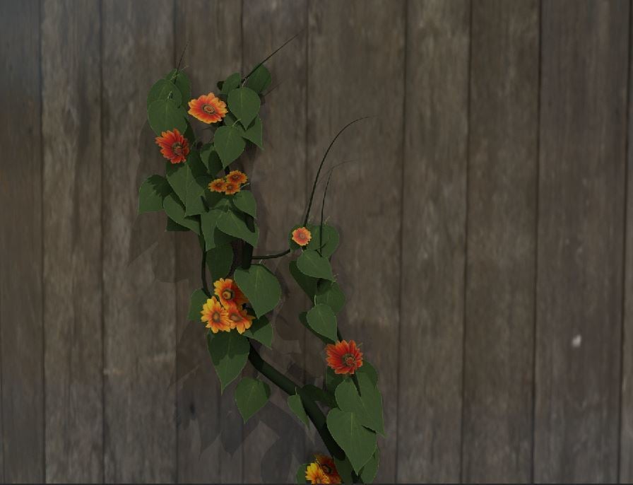 Images: Tangled Vines