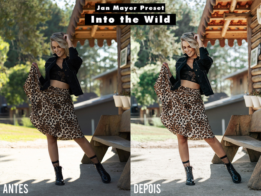 Jan Mayer Preset | Into The Wild