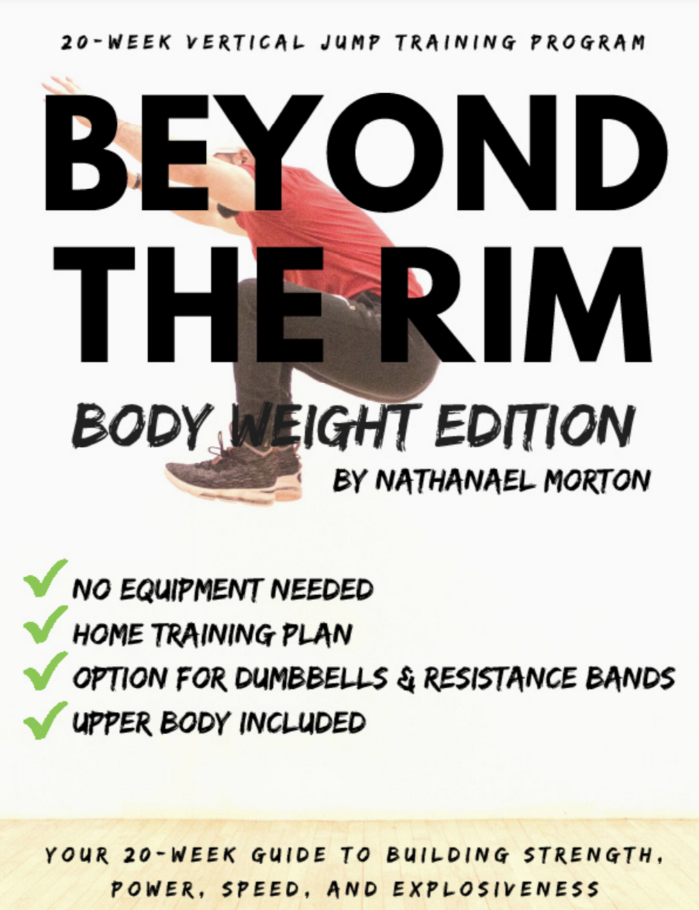 20 Week Full Vertical Jump Program