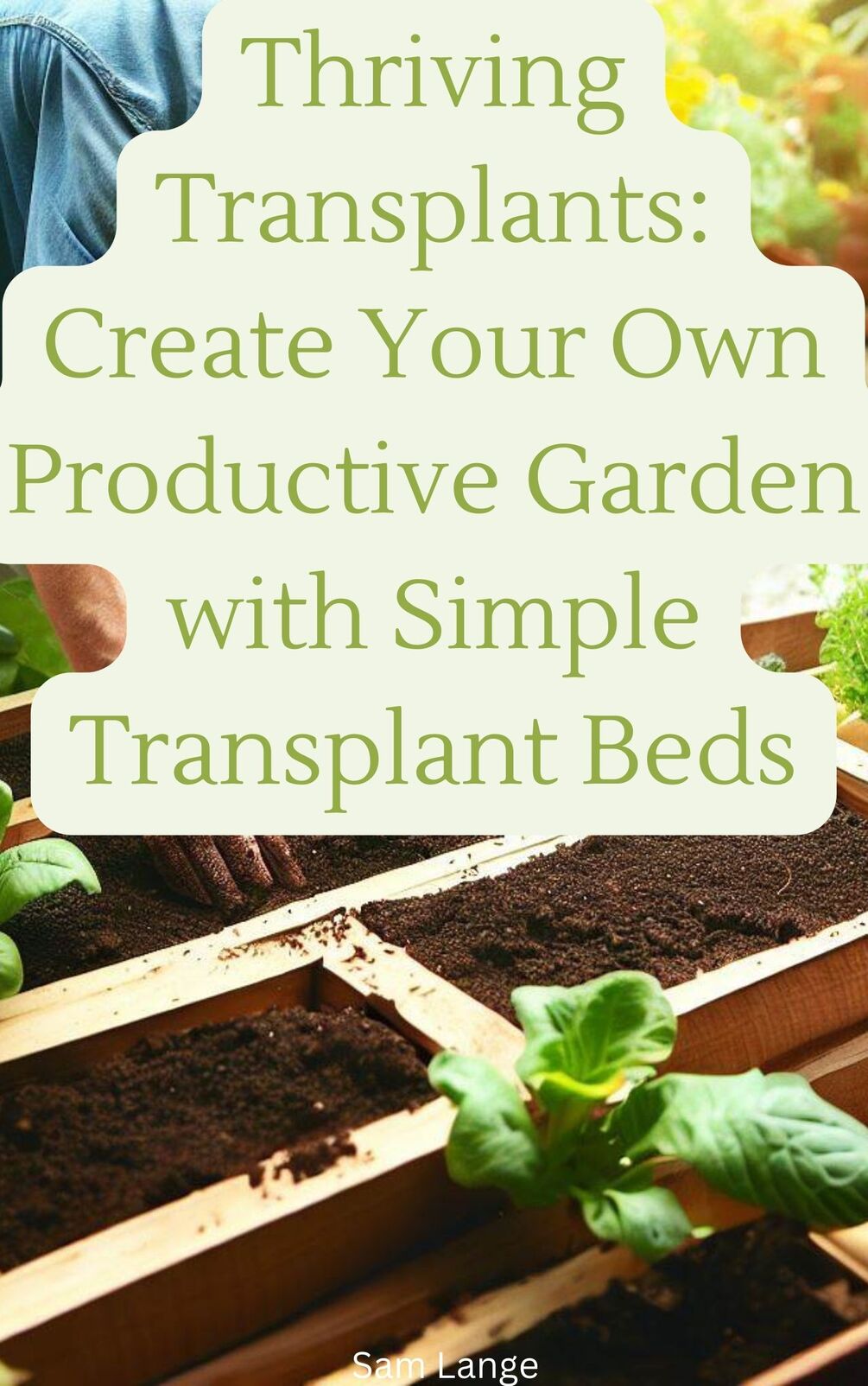 Thriving Transplants: Create Your Own Productive Garden with Simple ...