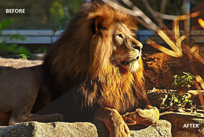 Monarch HD Photoshop Action